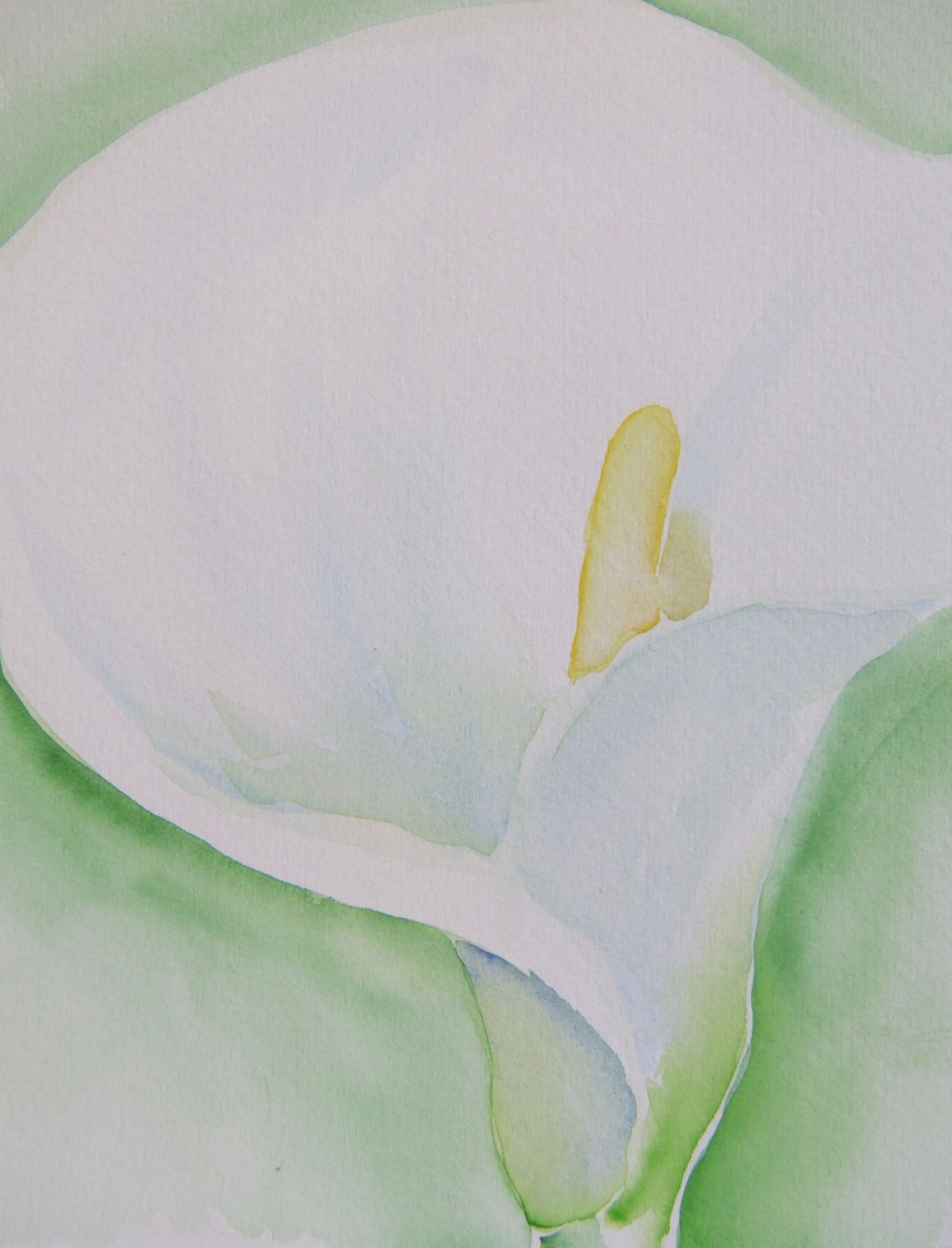 Calla | artworking